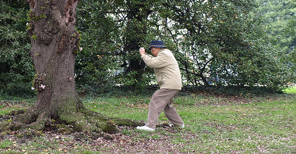 Tai Chi by Tree | Slanted Flying